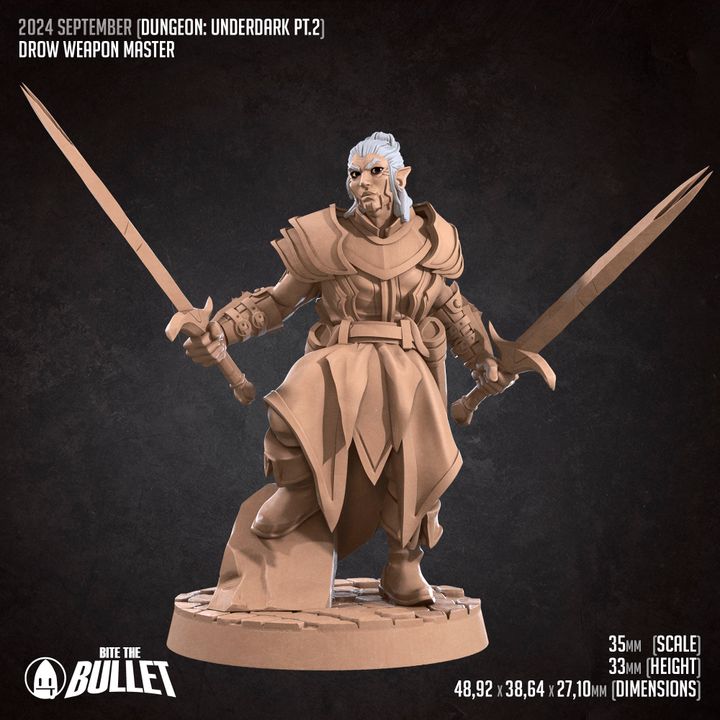 3D Printable Drow Weapon Master by Bite the Bullet